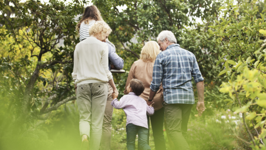 La dévolution successorale : quelles sont les règles pour hériter