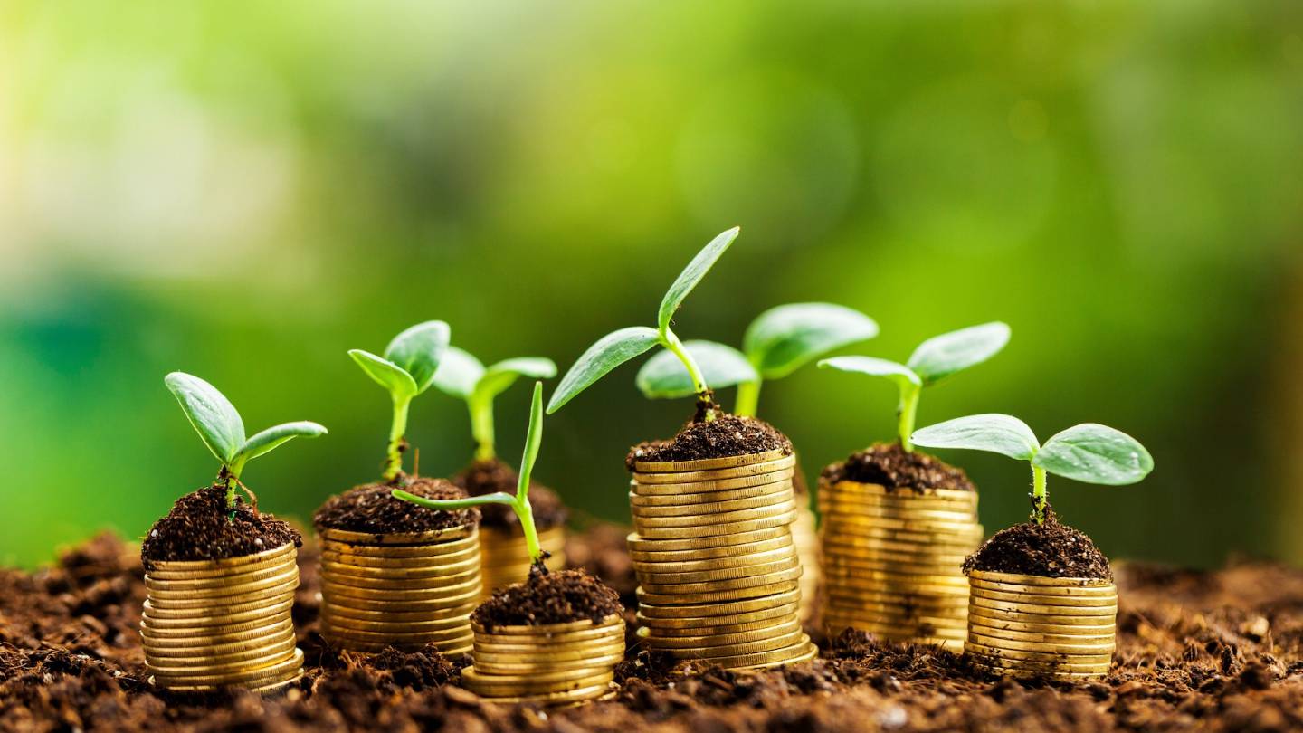 PEAC : ce qu’il faut savoir sur le Plan Épargne Avenir Climat